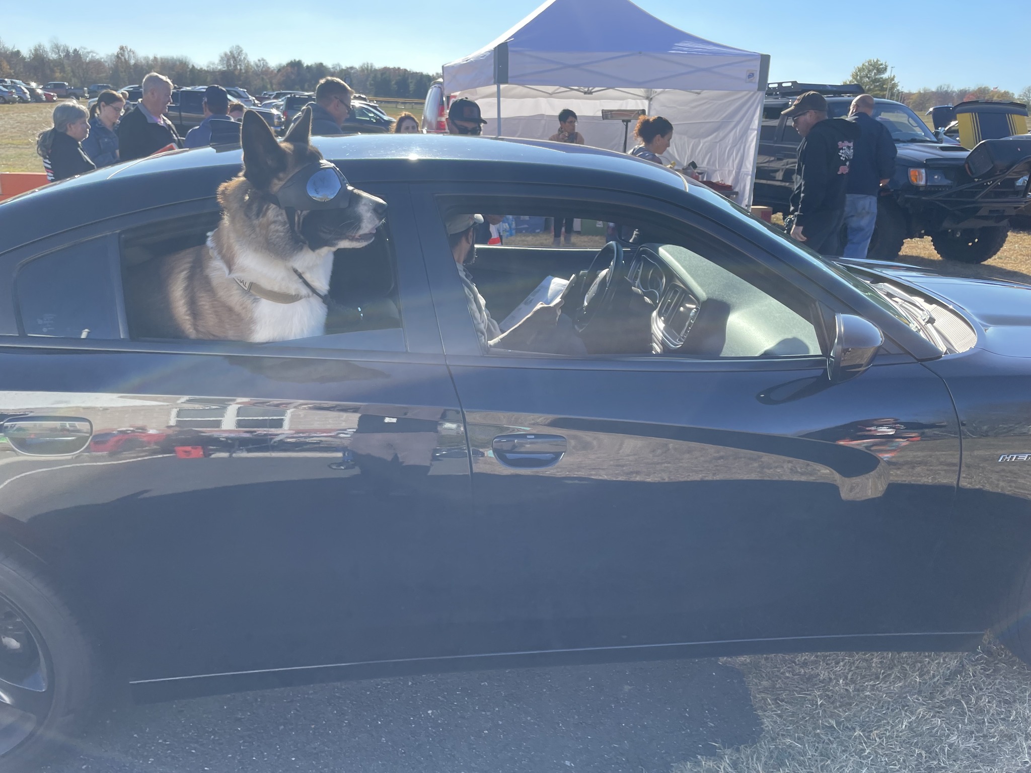 Motors for Mutts | South Jersey Media