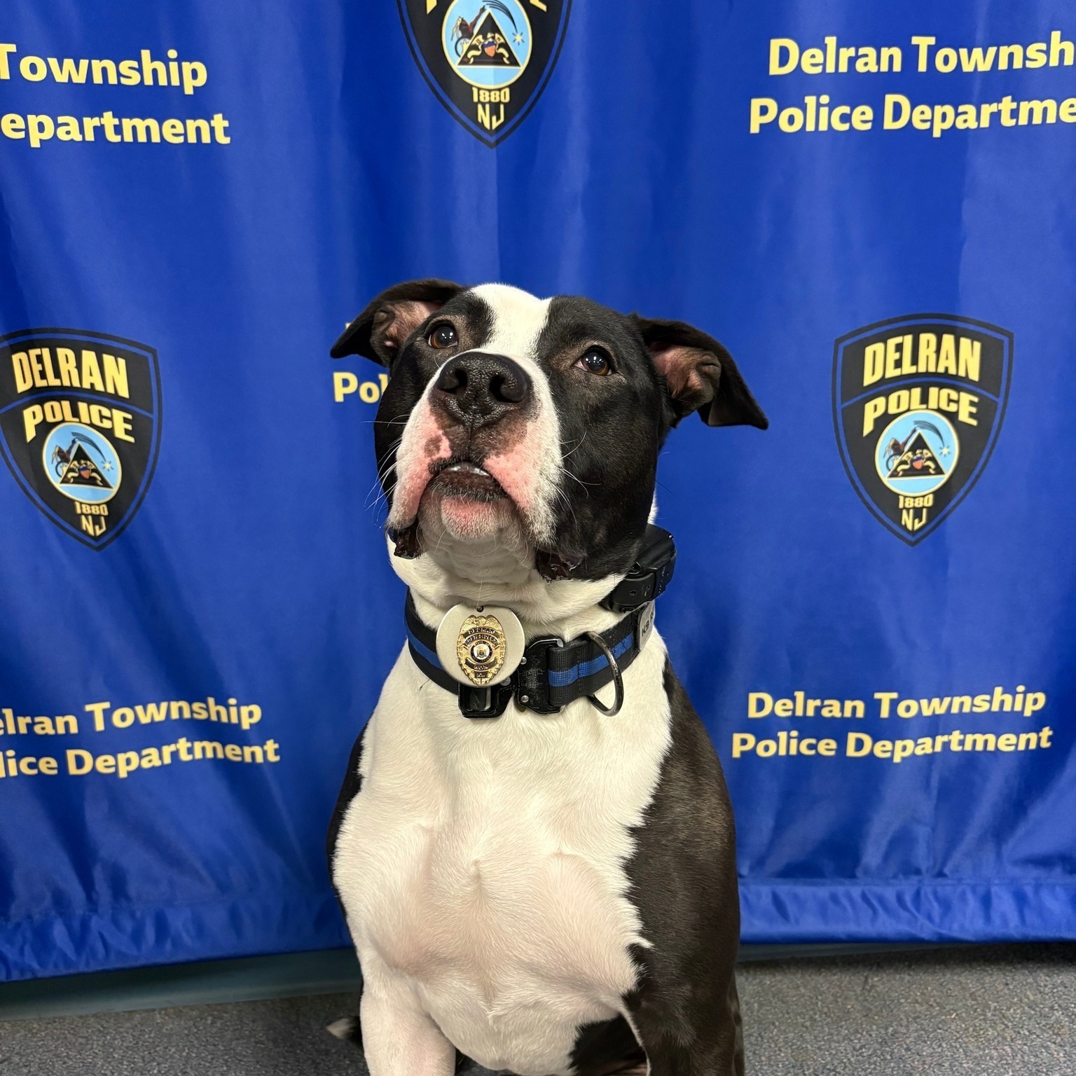 Badge of honor | South Jersey Media