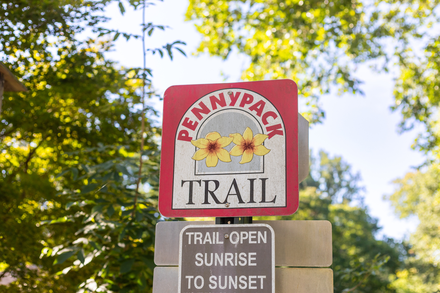 The beauty of the Pennypack Trail | Lifestyles